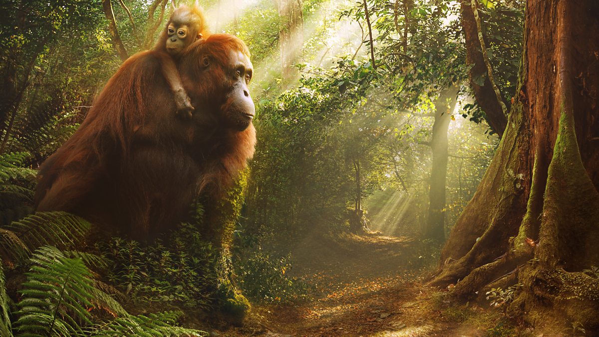 BBC One - Asia, Series 1, Tangled Worlds