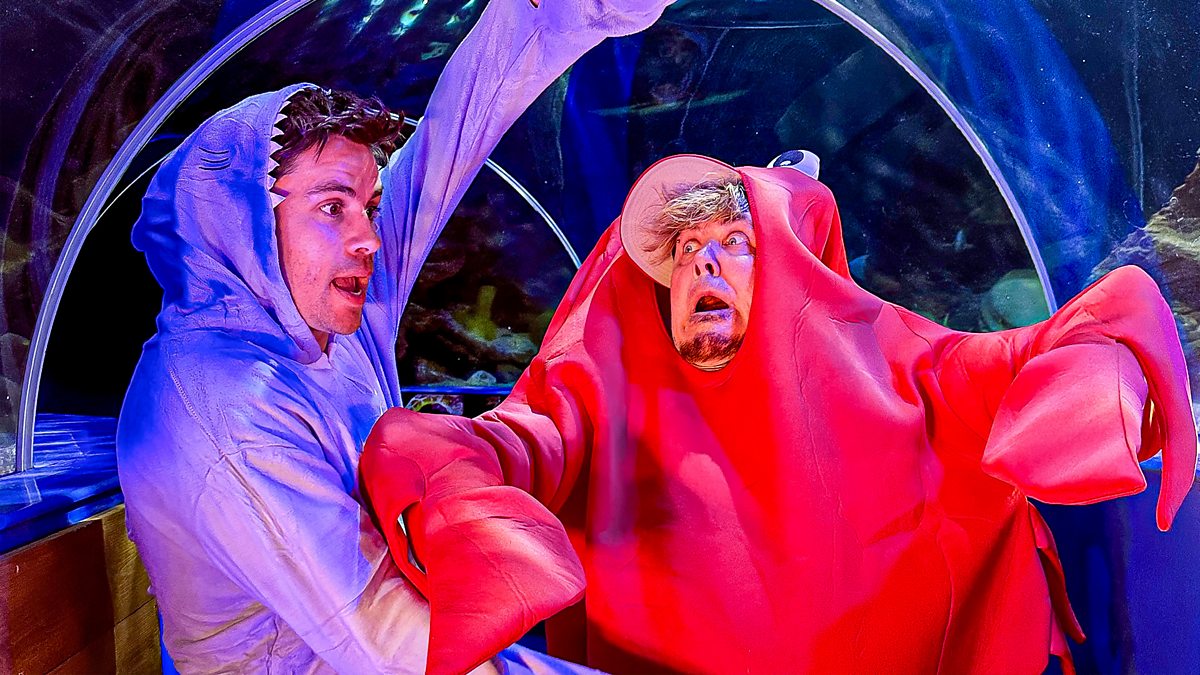 Art Adventures with Fred & Pete - Series 1: 8. Sea Creature Music Show ...