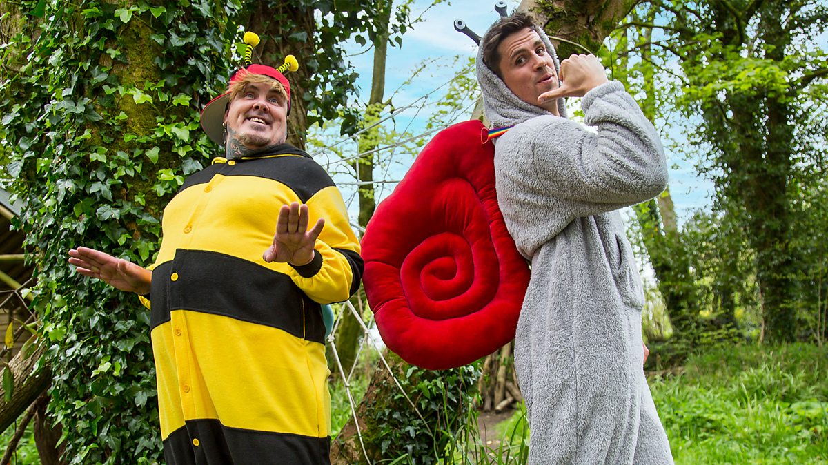 Art Adventures with Fred & Pete - Series 1: 13. Bugs Birthday - BBC iPlayer