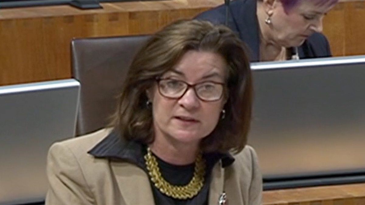 Welsh First Ministers Questions - 05/11/2024 - BBC iPlayer