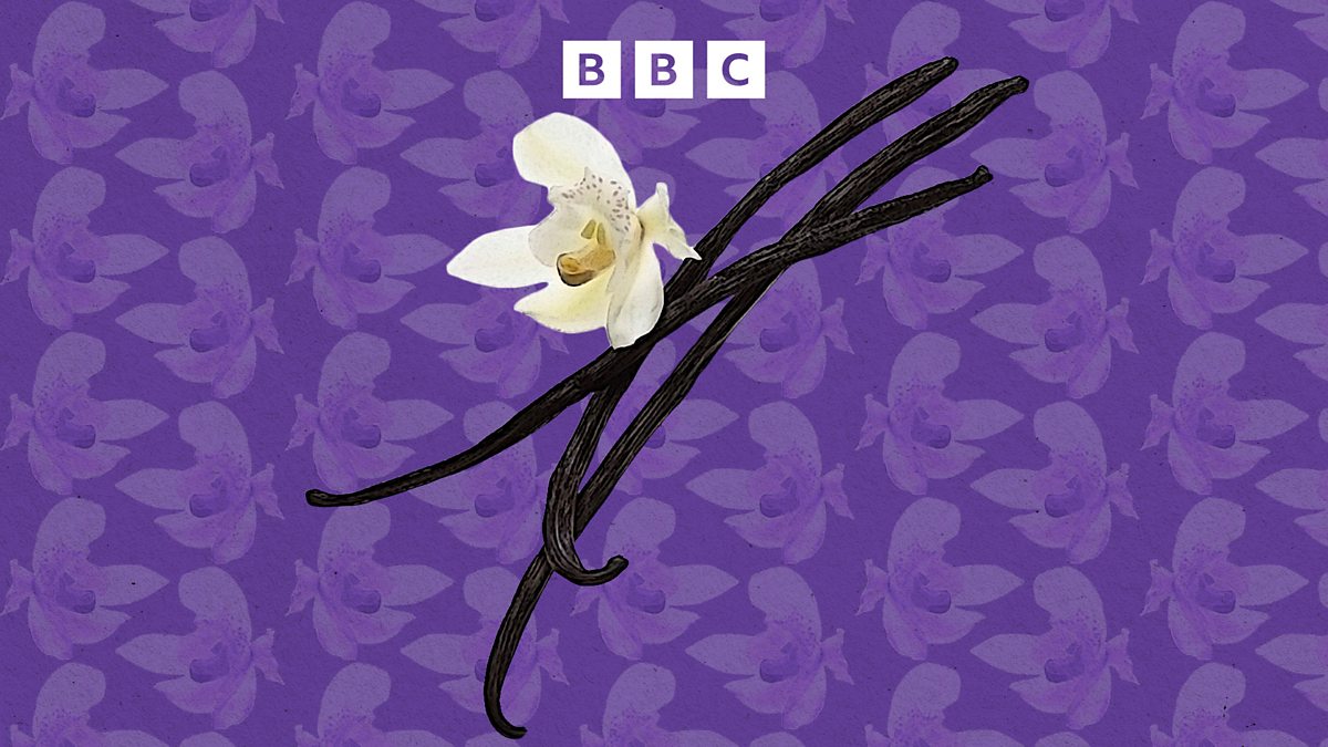 BBC World Service - The Food Chain, Just vanilla