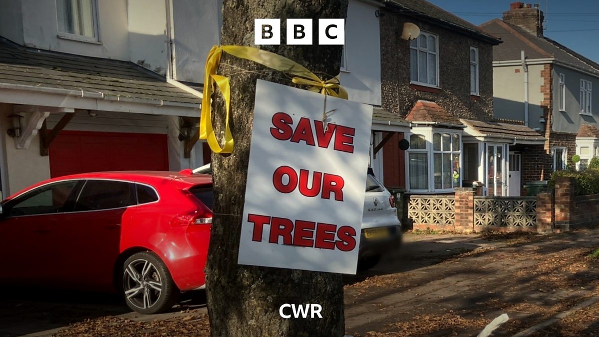 BBC CWR - BBC CWR, Coventry tree huggers attempt record