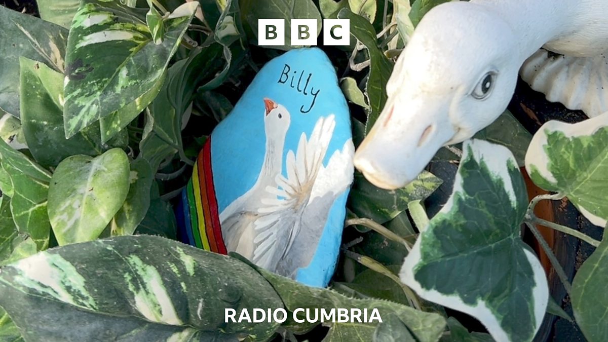 BBC Radio Cumbria - BBC RADIO CUMBRIA, Remembering Whitehaven's Billy ...