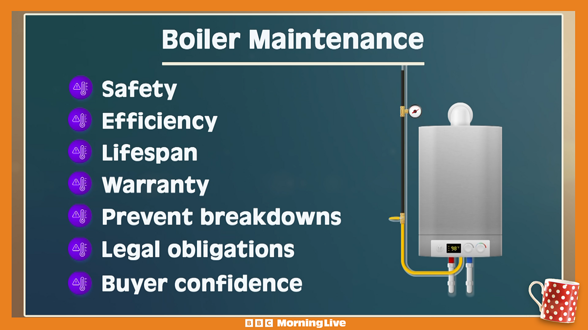 BBC One - Morning Live, How to save money on your boiler
