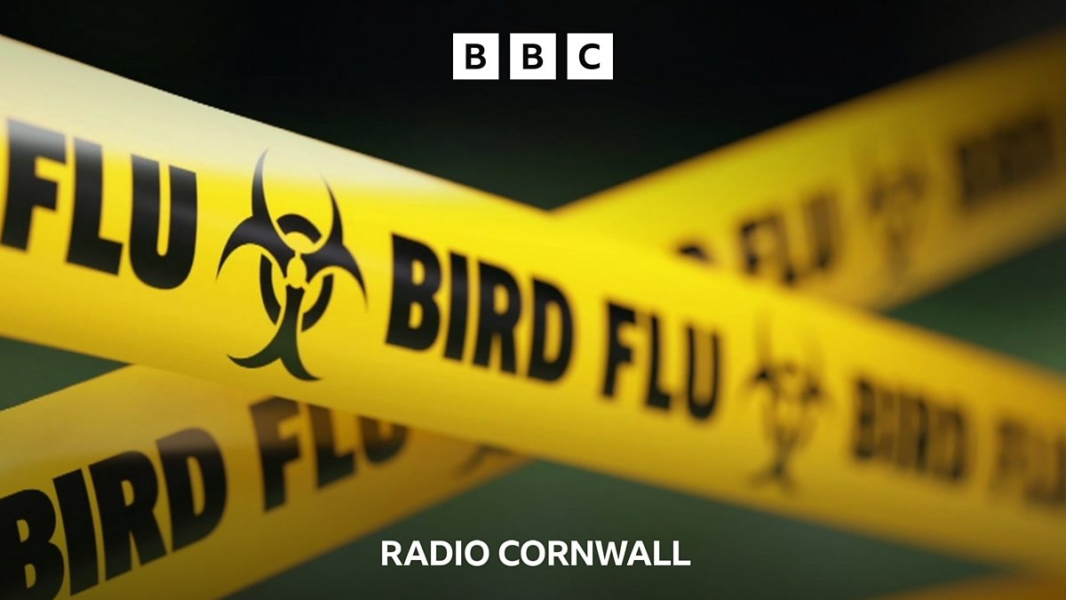 BBC Radio Cornwall - BBC Radio Cornwall, Bird Flu case confirmed at ...