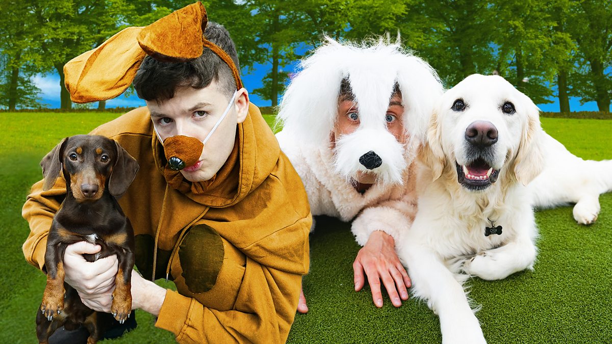 Bros in Control - Series 3: 14. Human v Hound - BBC iPlayer Bros in Control - Series 3: 14. Human v Hound - BBC iPlayer