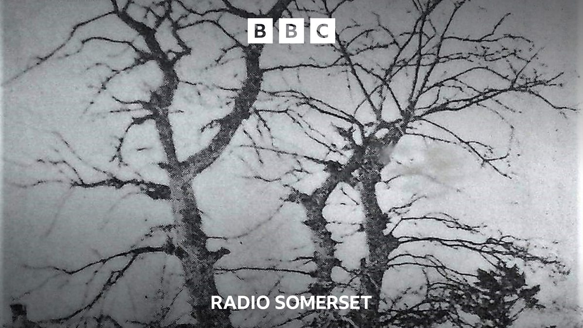 BBC Radio Somerset - Secret Somerset, Chard’s hanging tree