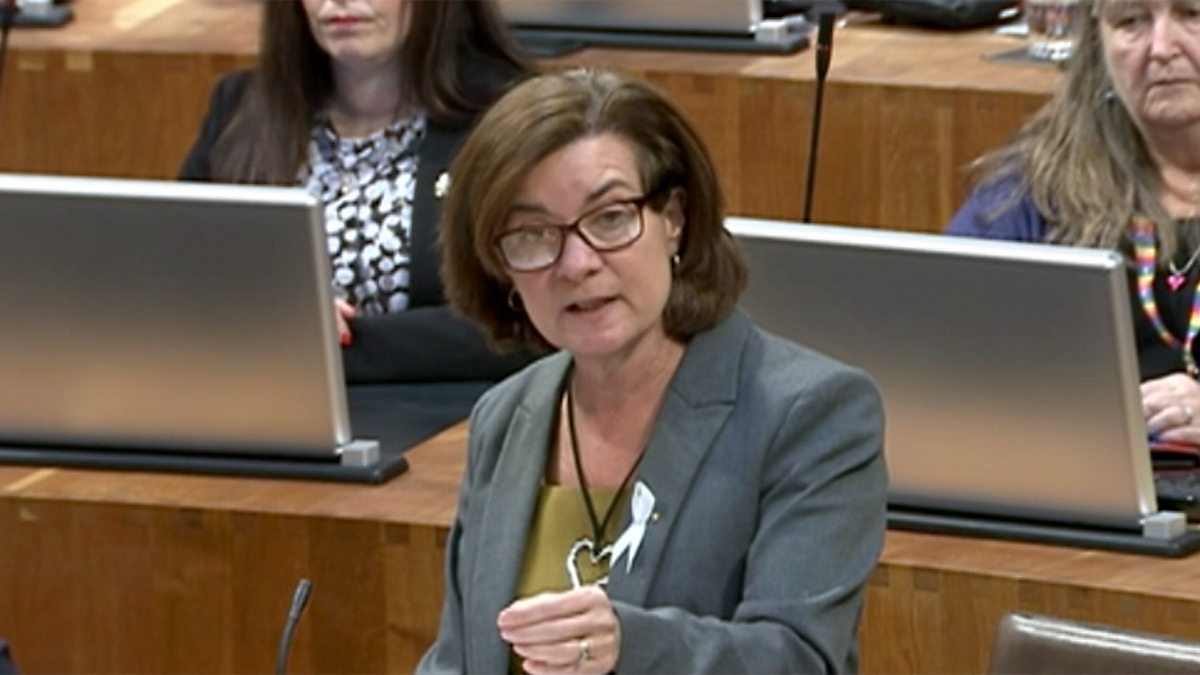 Welsh First Ministers Questions - 26/11/2024 - Signed - BBC iPlayer