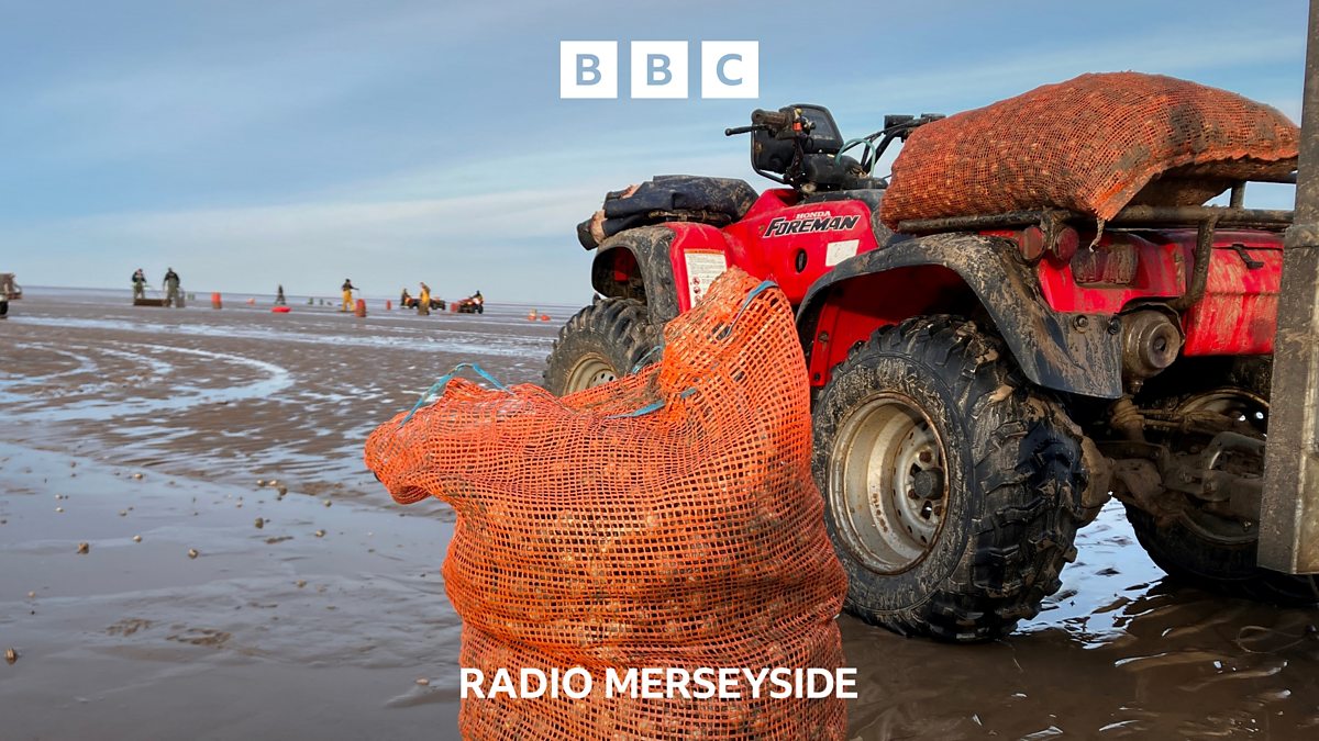 BBC Radio Merseyside - BBC Radio Merseyside, Fishing the Leasowe cockle ...