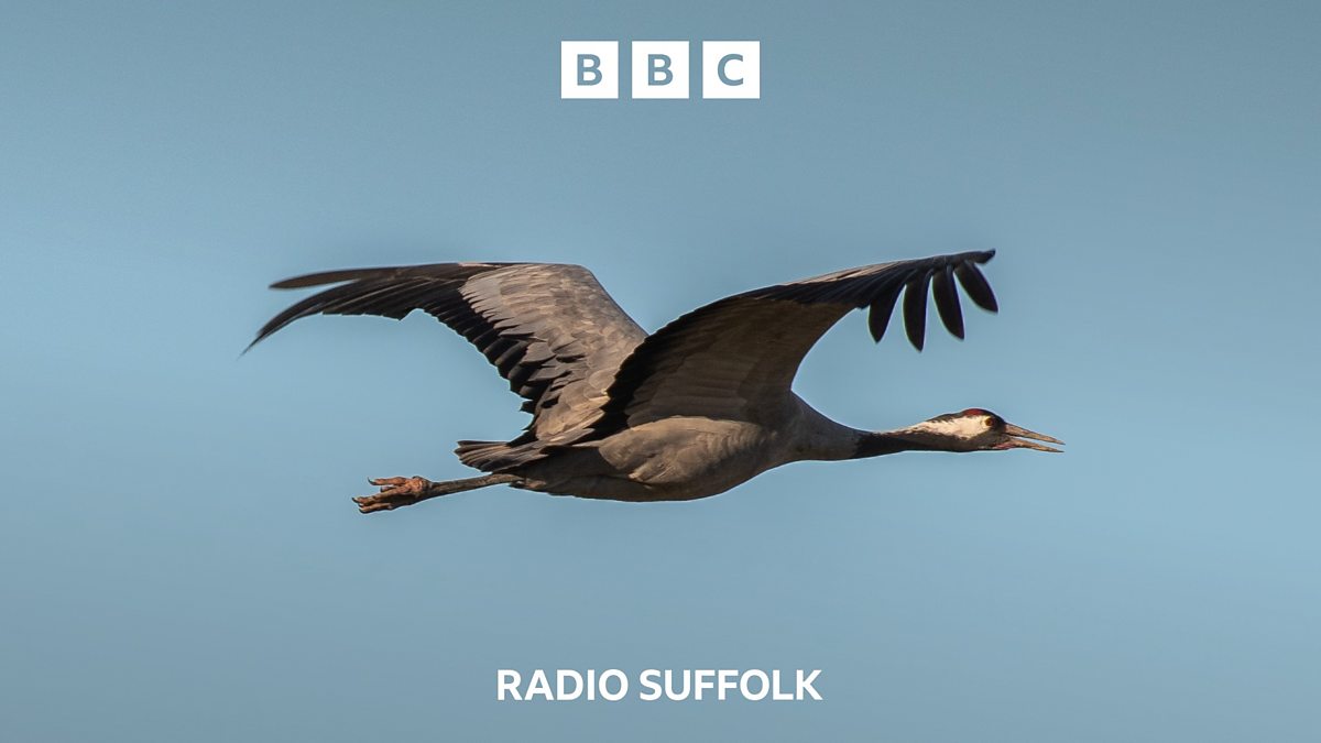 BBC Radio Suffolk - BBC Radio Suffolk, Cranes cleared to land at Lakenheath