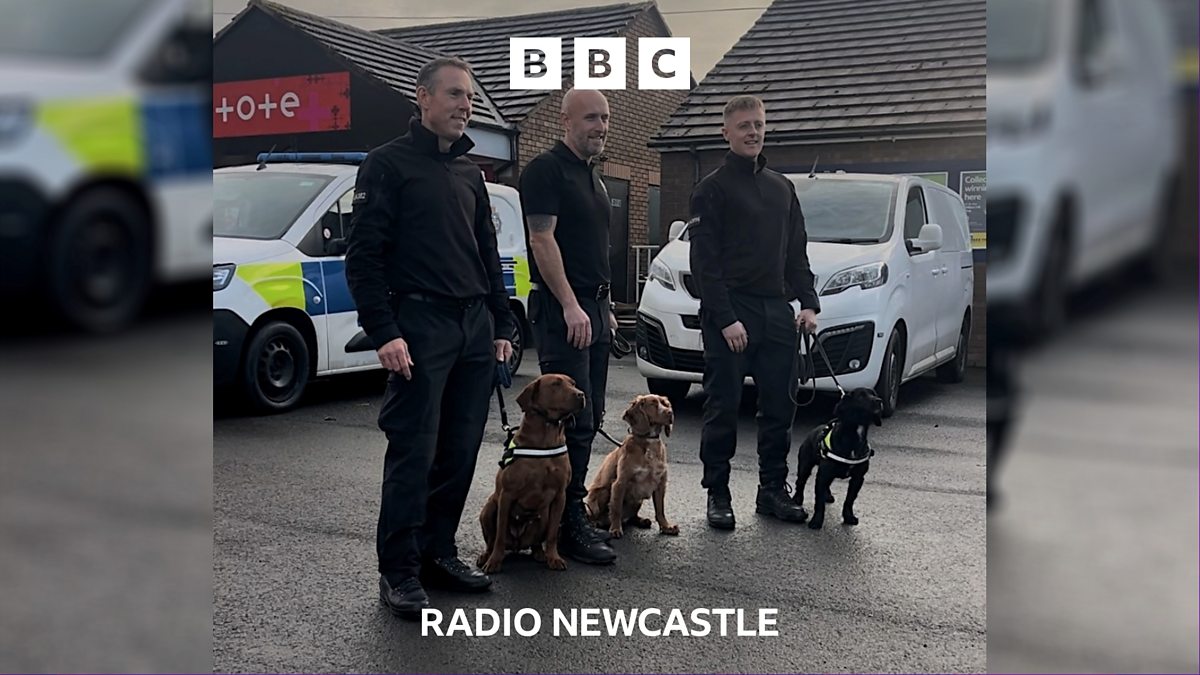 BBC Radio Newcastle - BBC Radio Newcastle, 'Digi dogs': Sniffing out ...