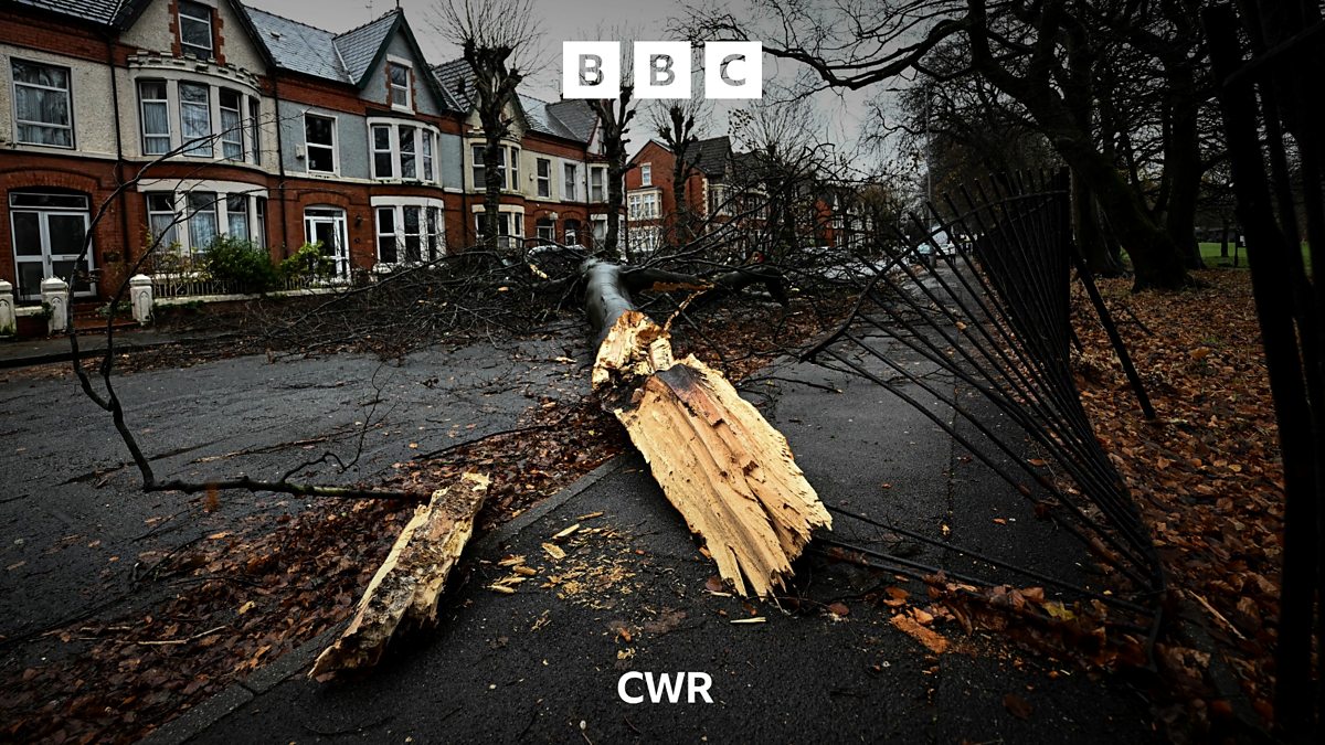 BBC CWR - BBC CWR, Storm Darragh causes destruction across Coventry and ...