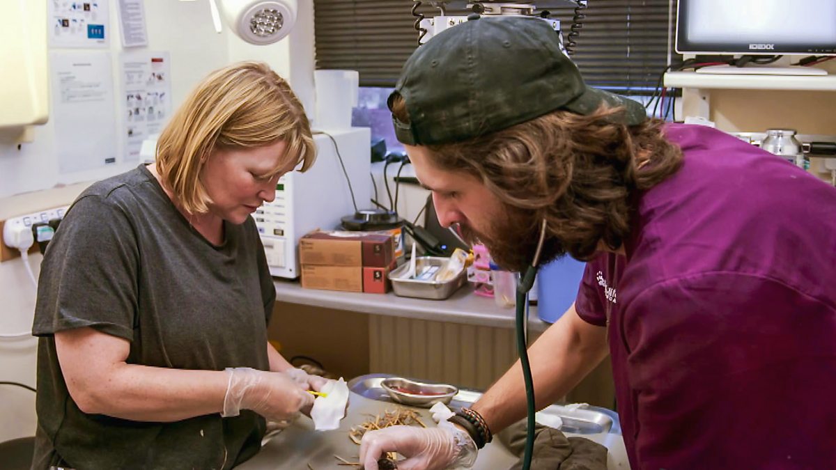 Joanna Pages Wild Life - Series 1: Episode 6 - BBC iPlayer