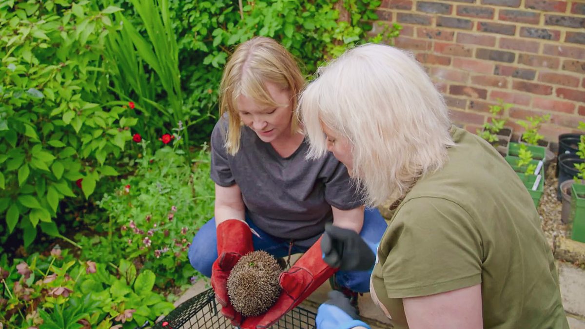 Joanna Pages Wild Life - Series 1: Episode 7 - BBC iPlayer