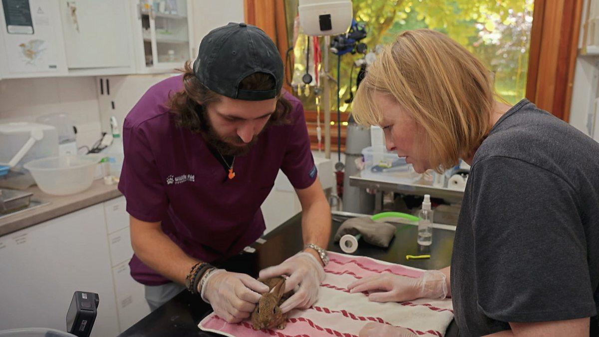 Joanna Pages Wild Life - Series 1: Episode 10 - BBC iPlayer