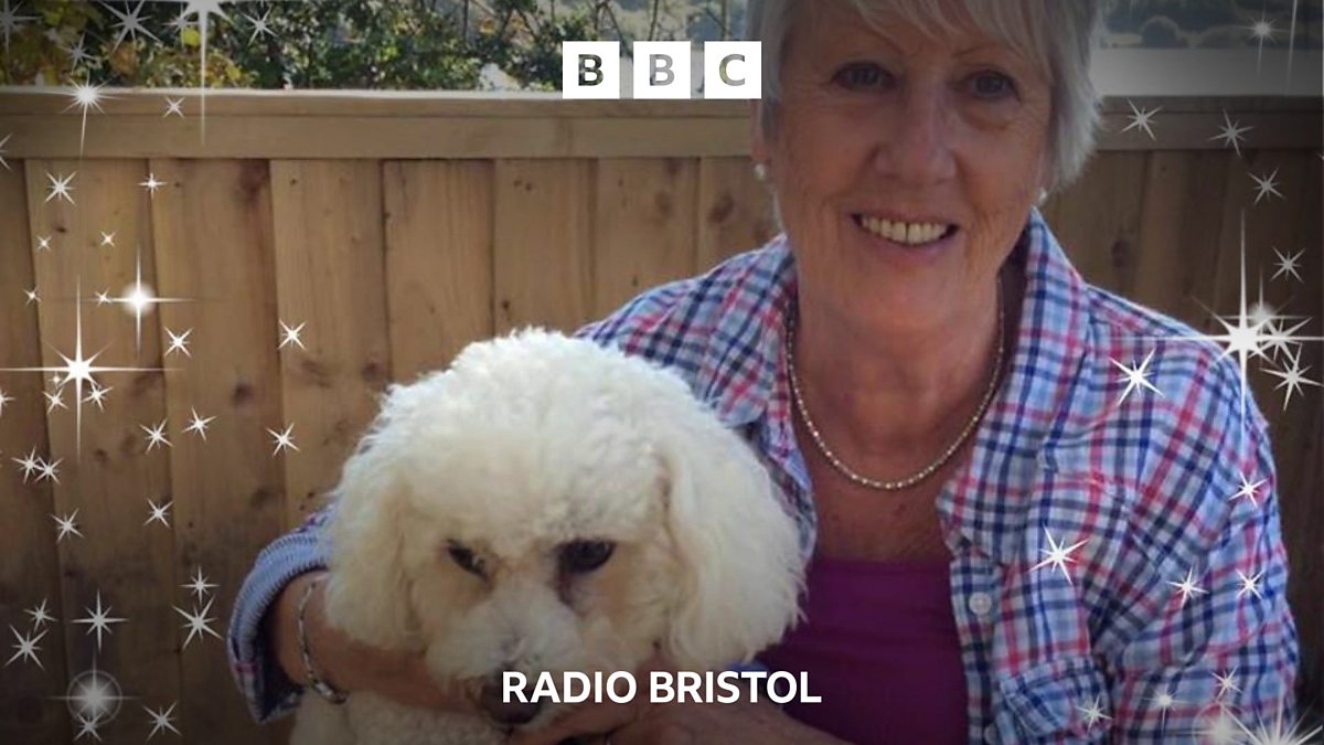 BBC Radio Bristol - BBC Radio Bristol, Bristol Woman: “My dog saved my ...