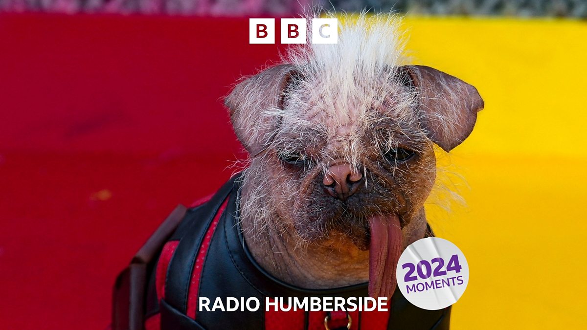 BBC Radio Humberside - BBC Radio Humberside, How East Yorks dog Peggy ...