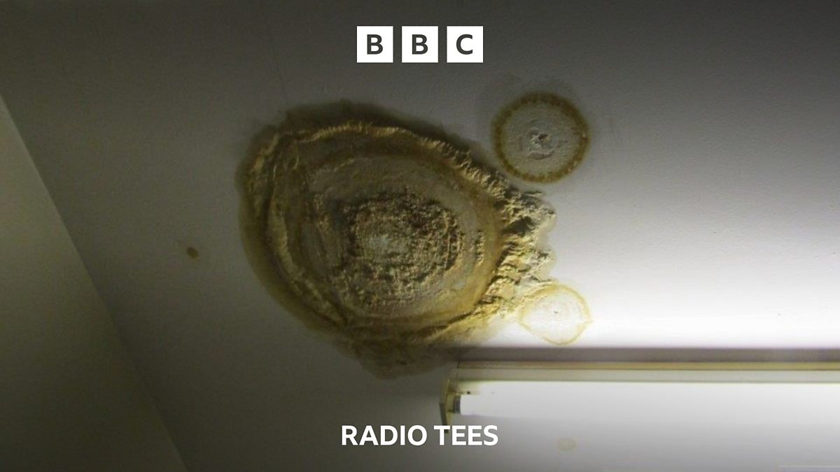 BBC Radio Tees - BBC Radio Tees, Durham prison has 'mushrooms' growing ...