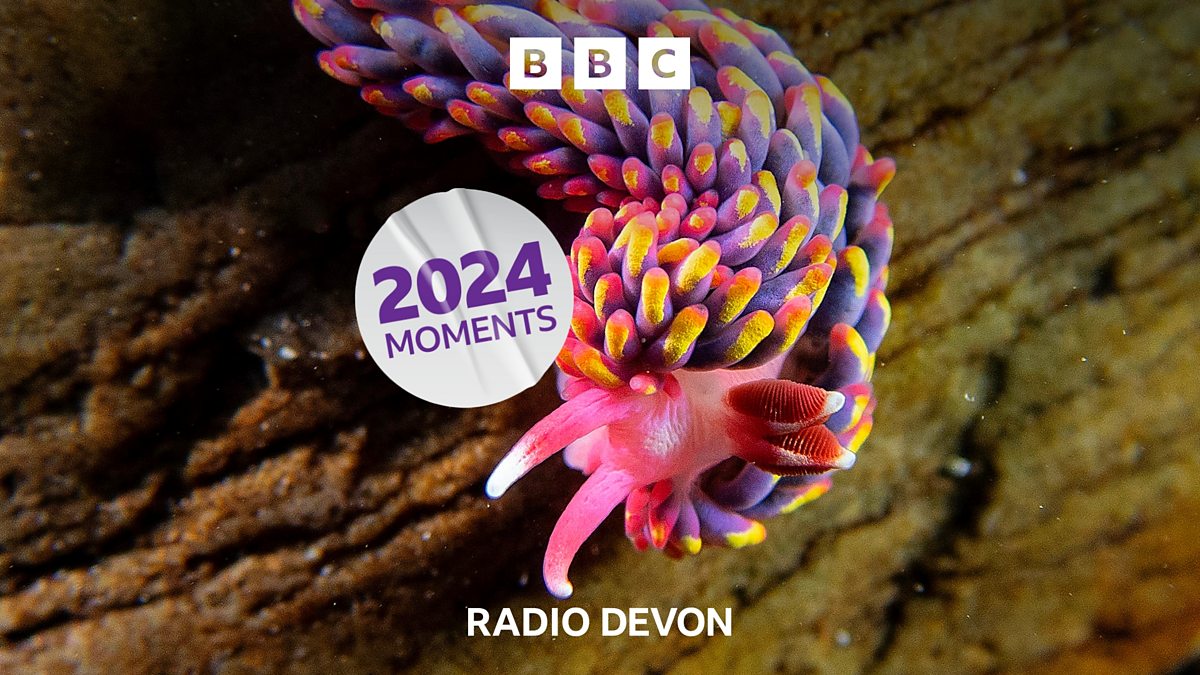 BBC Radio Devon - BBC Radio Devon, Extraordinary discovery in Devon ...