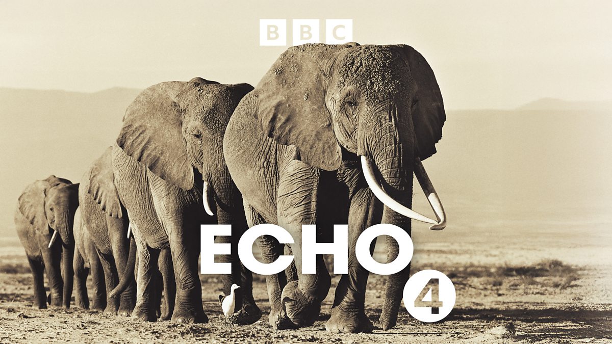 BBC Radio 4 - Echo