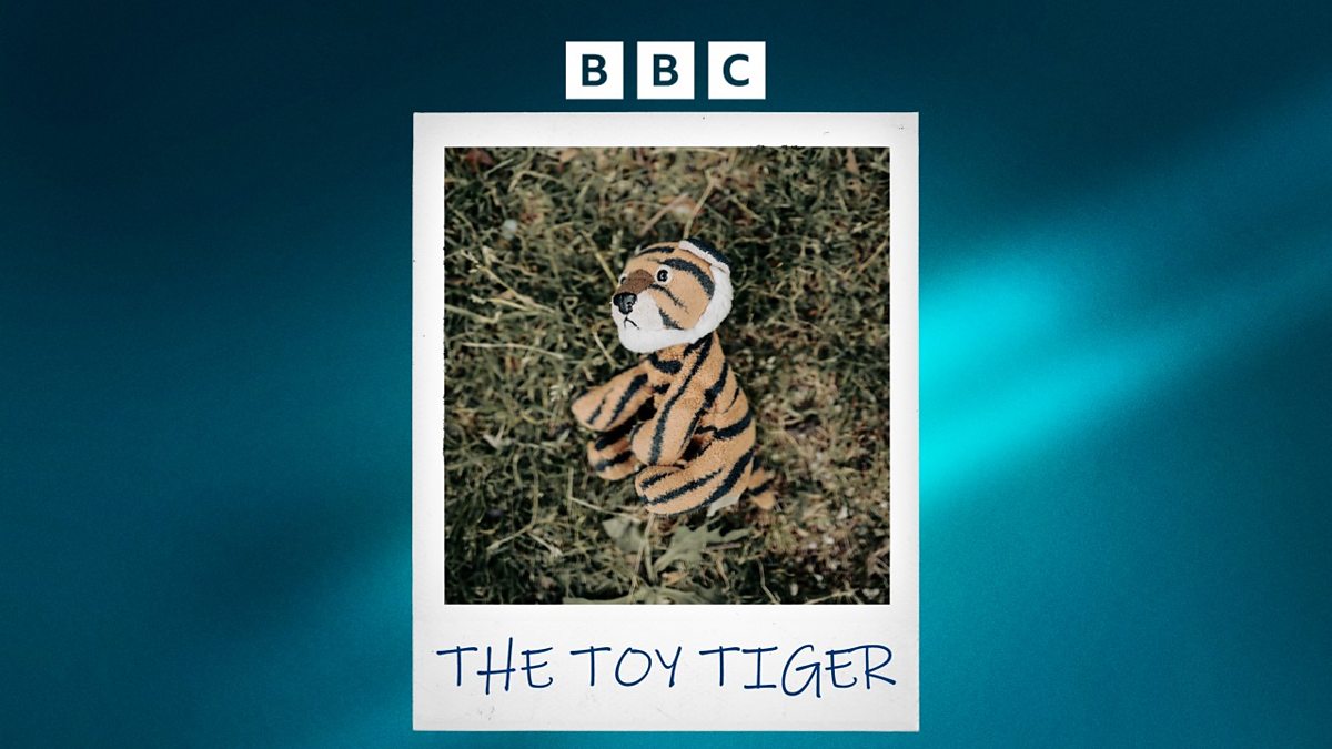 BBC World Service - Outlook, Memory Box: The toy tiger