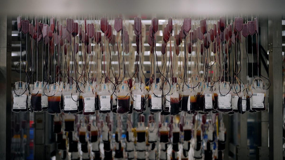 BBC One - Casualty, CASUALTY: THREE STORIES ABOUT BLOOD