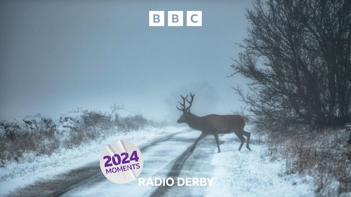 BBC Radio Derby - BBC Radio Derby, Villager Jim: "Surreal" stag photo ...