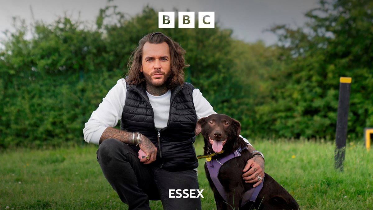 BBC Essex - BBC Essex, Harlow TV star's new dog-umentary