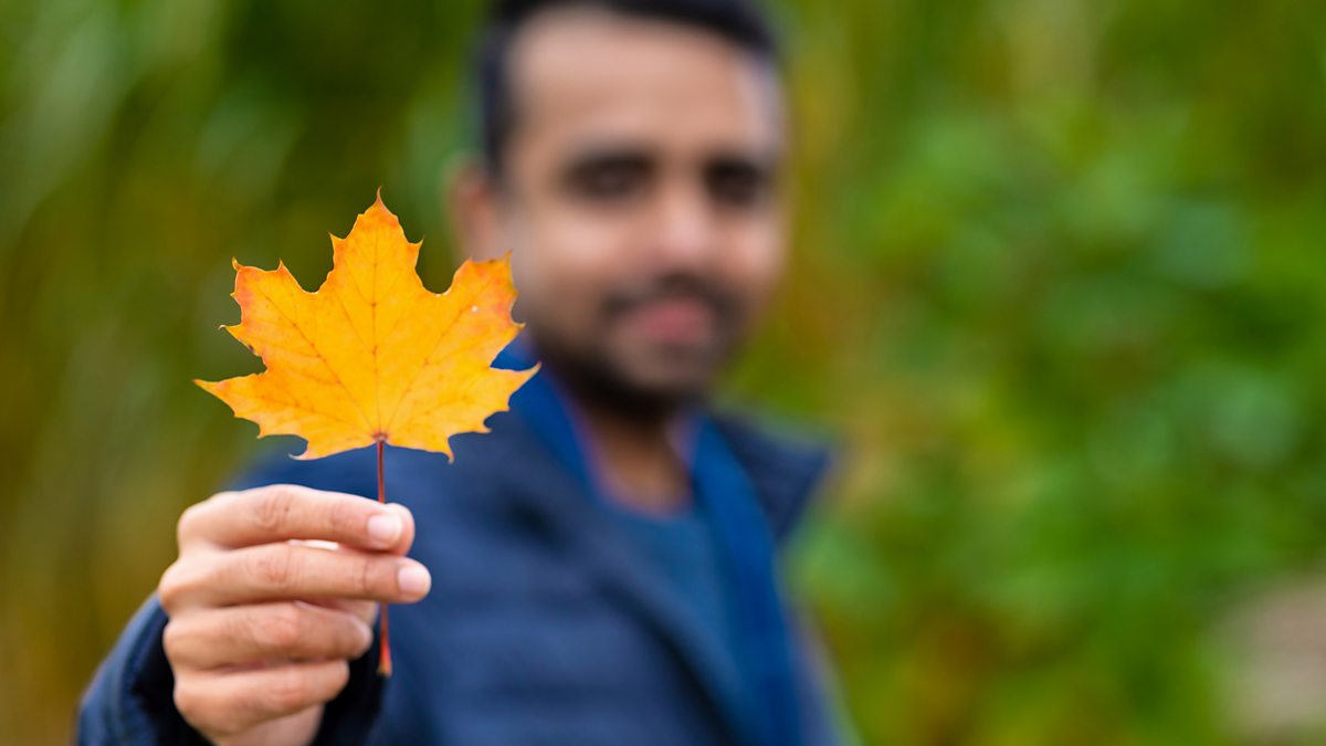 BBC World Service - The Documentary, Canadian Immigration: Boom or Bust?