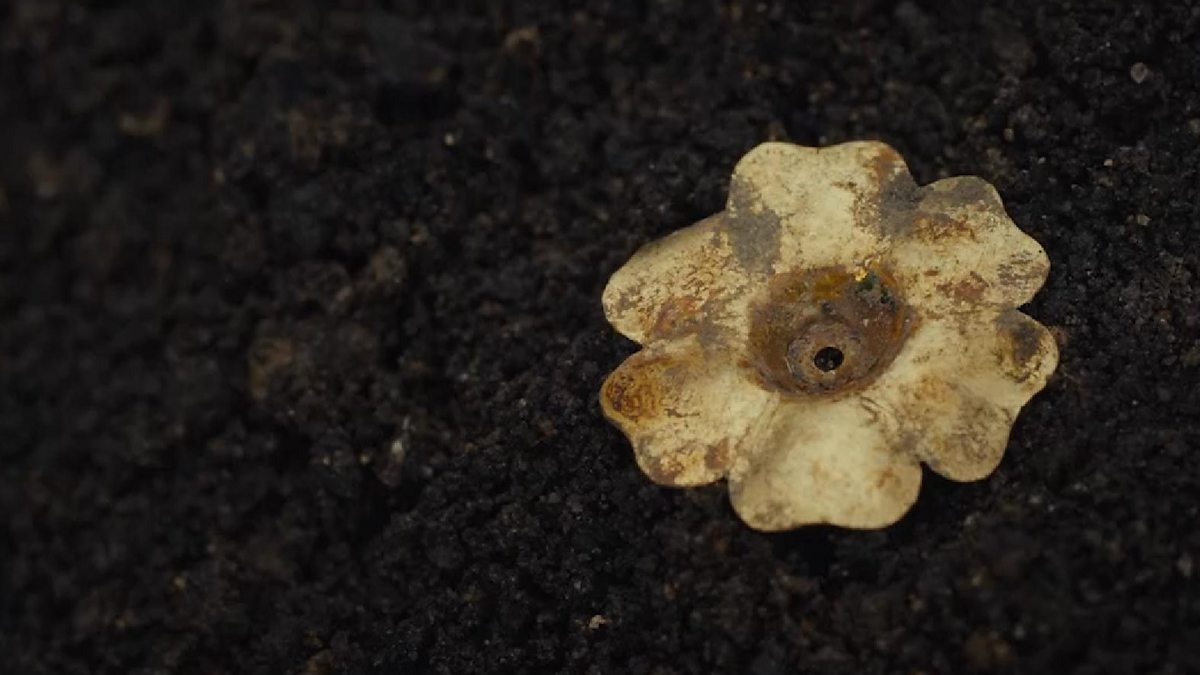 BBC Two - Digging for Britain, Series 12, Roman Crime and Ancient DNA ...