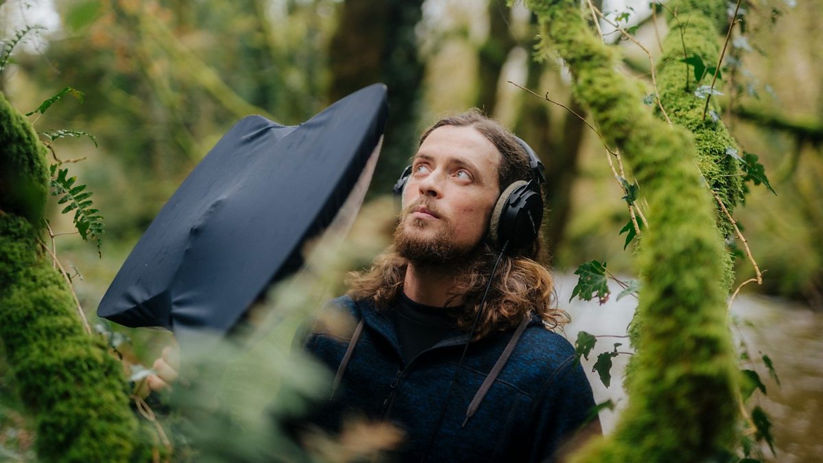 BBC World Service - Outlook, Why I set out to record the songs of ...