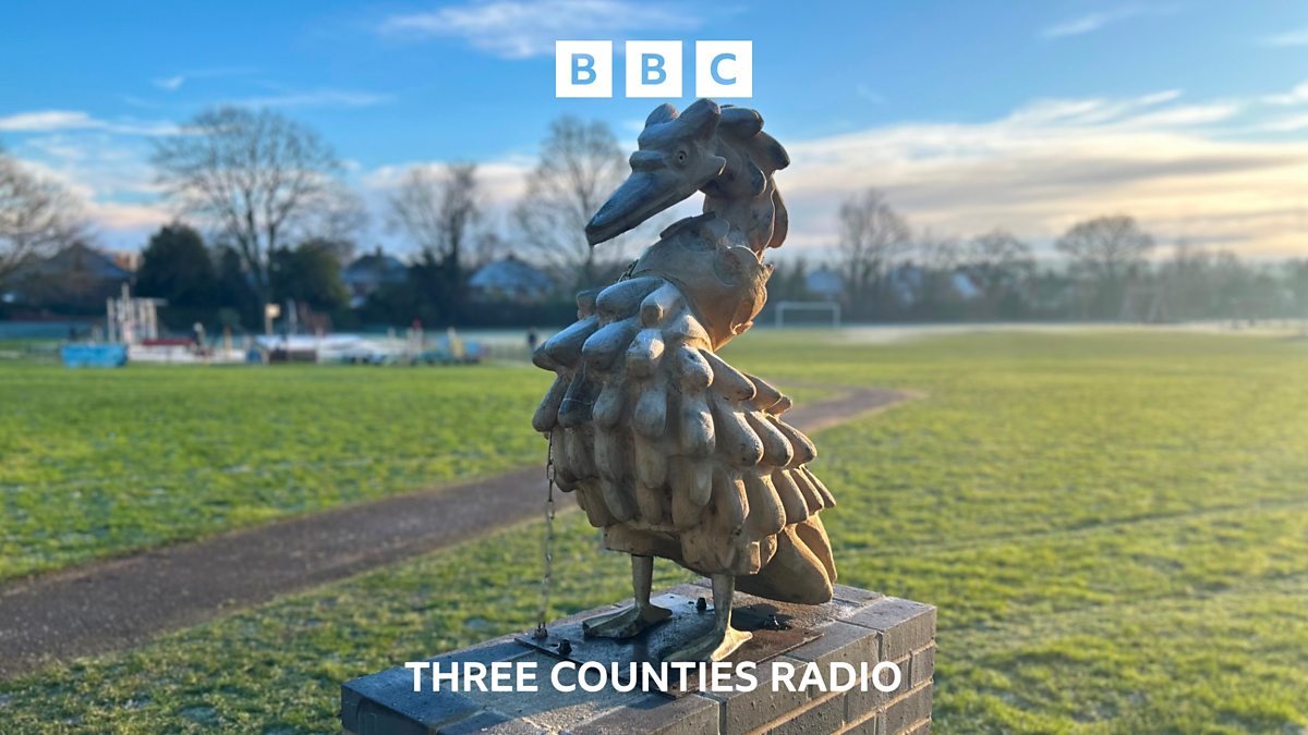 BBC Three Counties Radio - Secret Bedfordshire, The swan inspired by ...