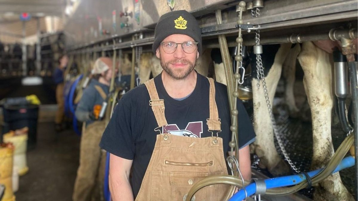 BBC World Service - Business Daily, What could tariffs mean for Canada?