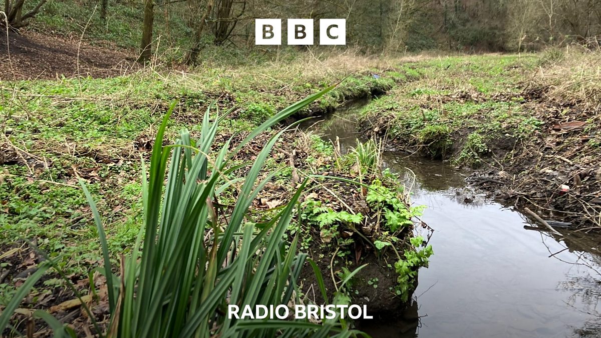 BBC Radio Bristol - All About Bristol, The secrets of ‘beautiful ...