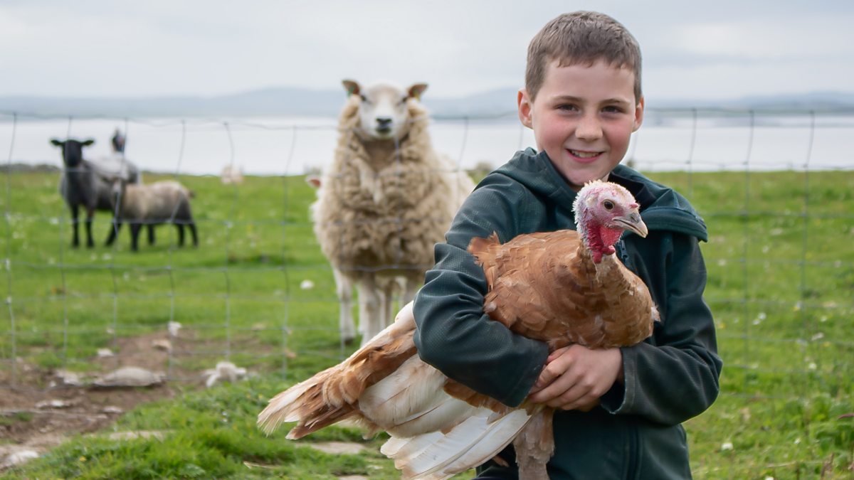 BBC Two - This Farming Life, Series 7, Island Farming on the Edge