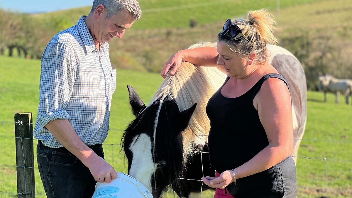BBC Two - This Farming Life, Series 7, Summer Festival Fun and Games