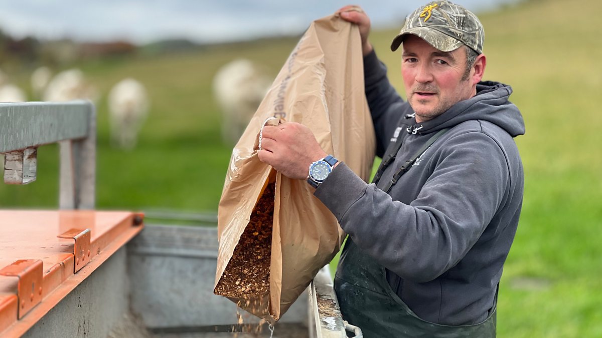 BBC Two - This Farming Life, Series 7, You Reap What You Sow
