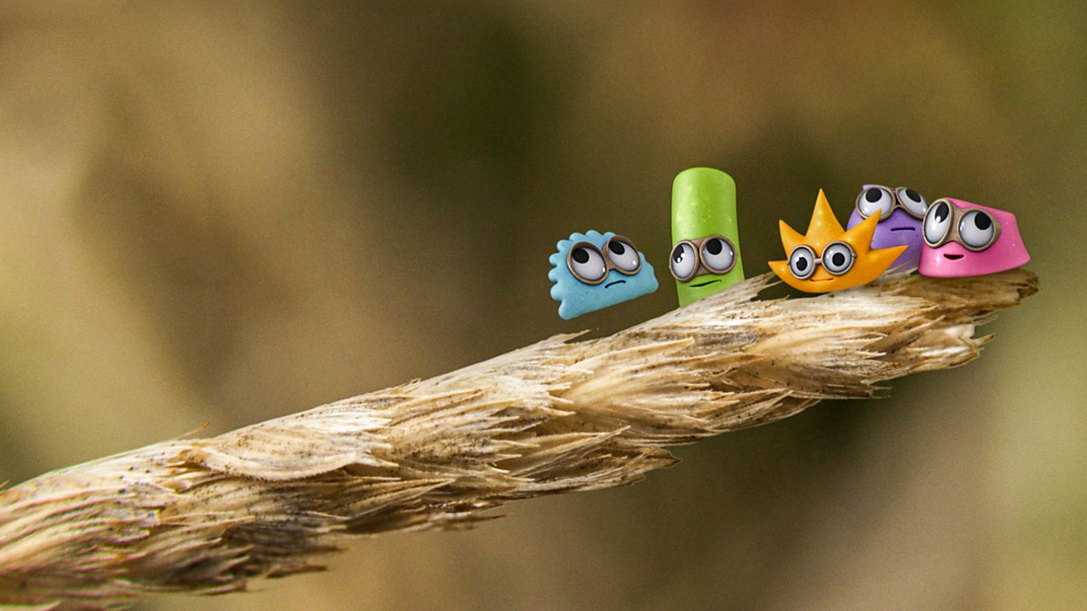 CBeebies - Tiny Wonders, Series 5 - Episode guide