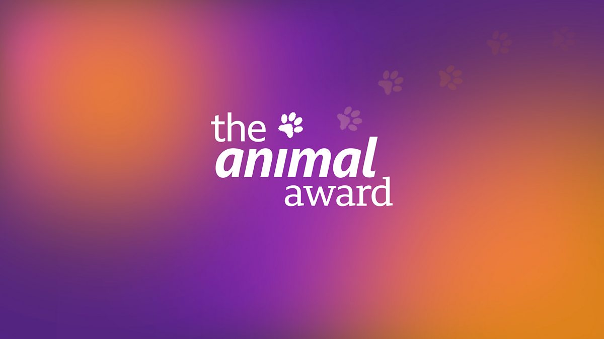 BBC - The Animal Award