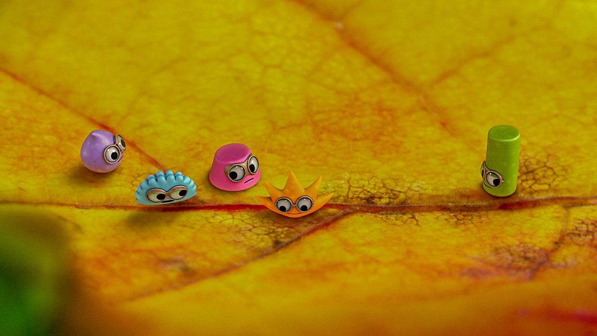 CBeebies - Tiny Wonders, Series 5, Leaf