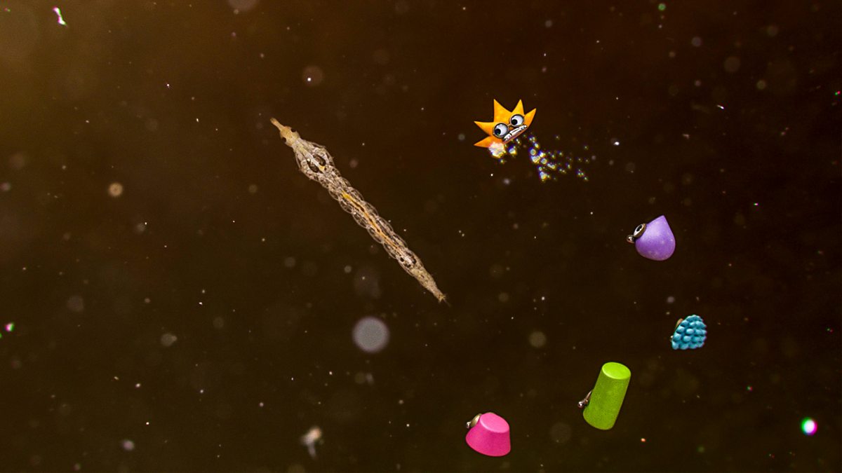 Tiny Wonders - Series 5: 10. Pond Life - BBC iPlayer