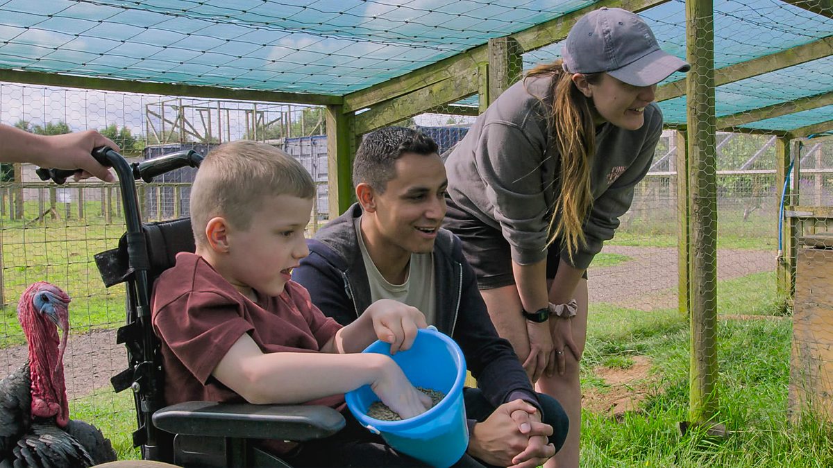 Something Special - Were All Friends: Series 14: 18. On the Farm Trail ...