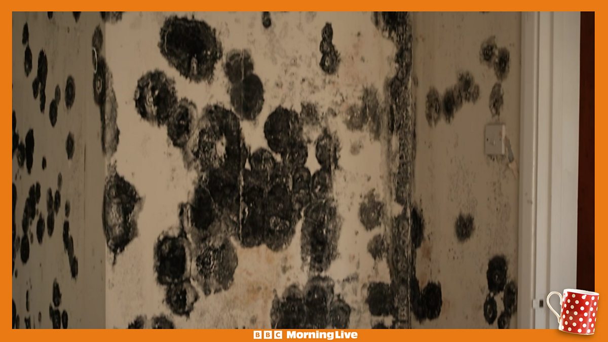 BBC One - Morning Live, What are the signs of health issues from mould?