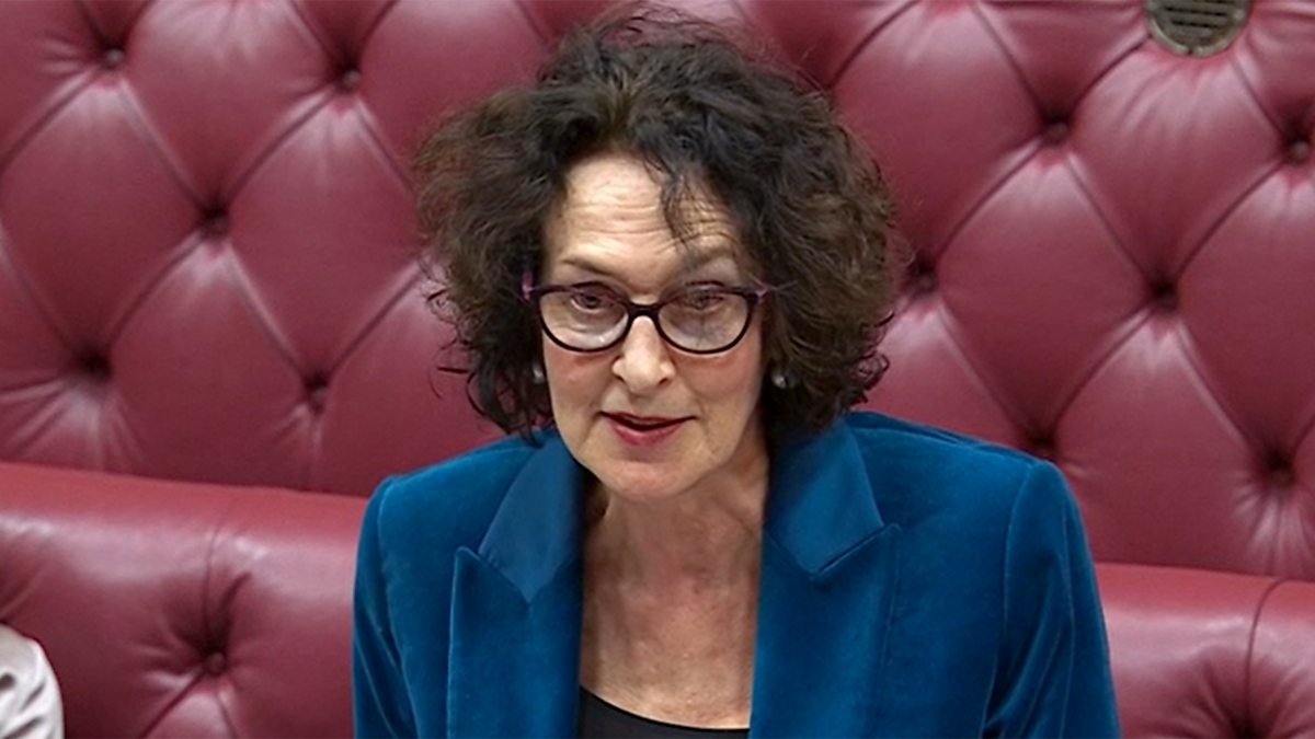 BBC Parliament - House of Lords, New Hospital Programme Statement