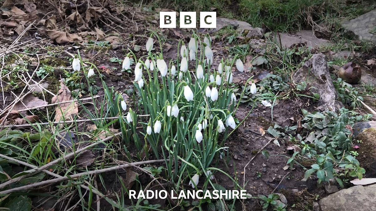 BBC Radio Lancashire - BBC Radio Lancashire, Signs of Spring - Gardening