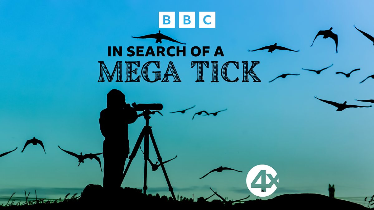 BBC Radio 4 Extra - In Search of a Mega Tick