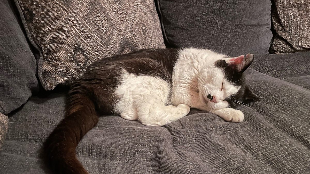 BBC Three Counties Radio - Andy Collins, Your Midweek Victories ...