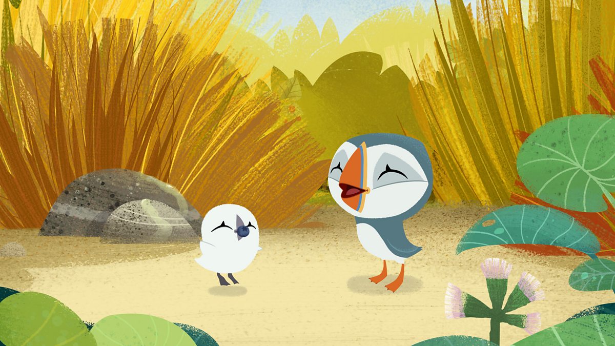 Puffin Rock - Series 1: 8. Lost Berries - Signed - BBC iPlayer