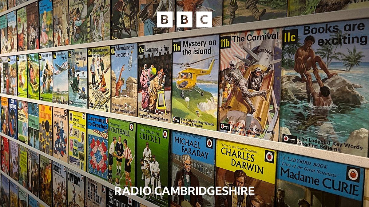 BBC Radio Cambridgeshire - BBC Radio Cambridgeshire, Ladybirds land in ...