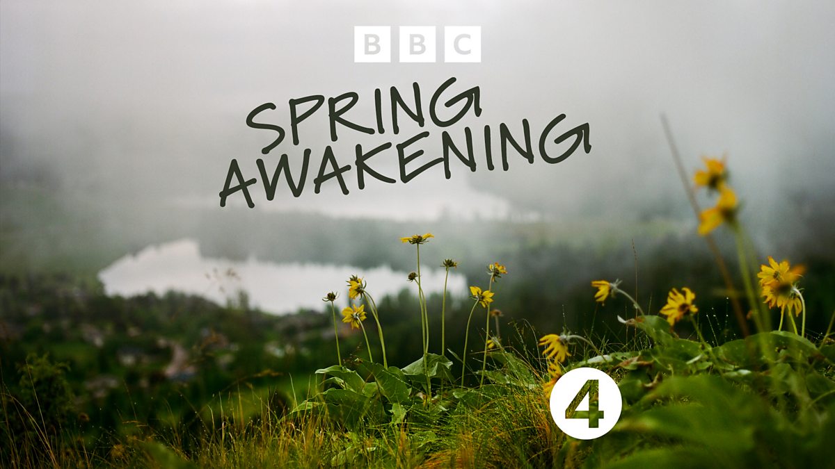 BBC Radio 4 - Drama on 4, Spring Awakening, Part 2
